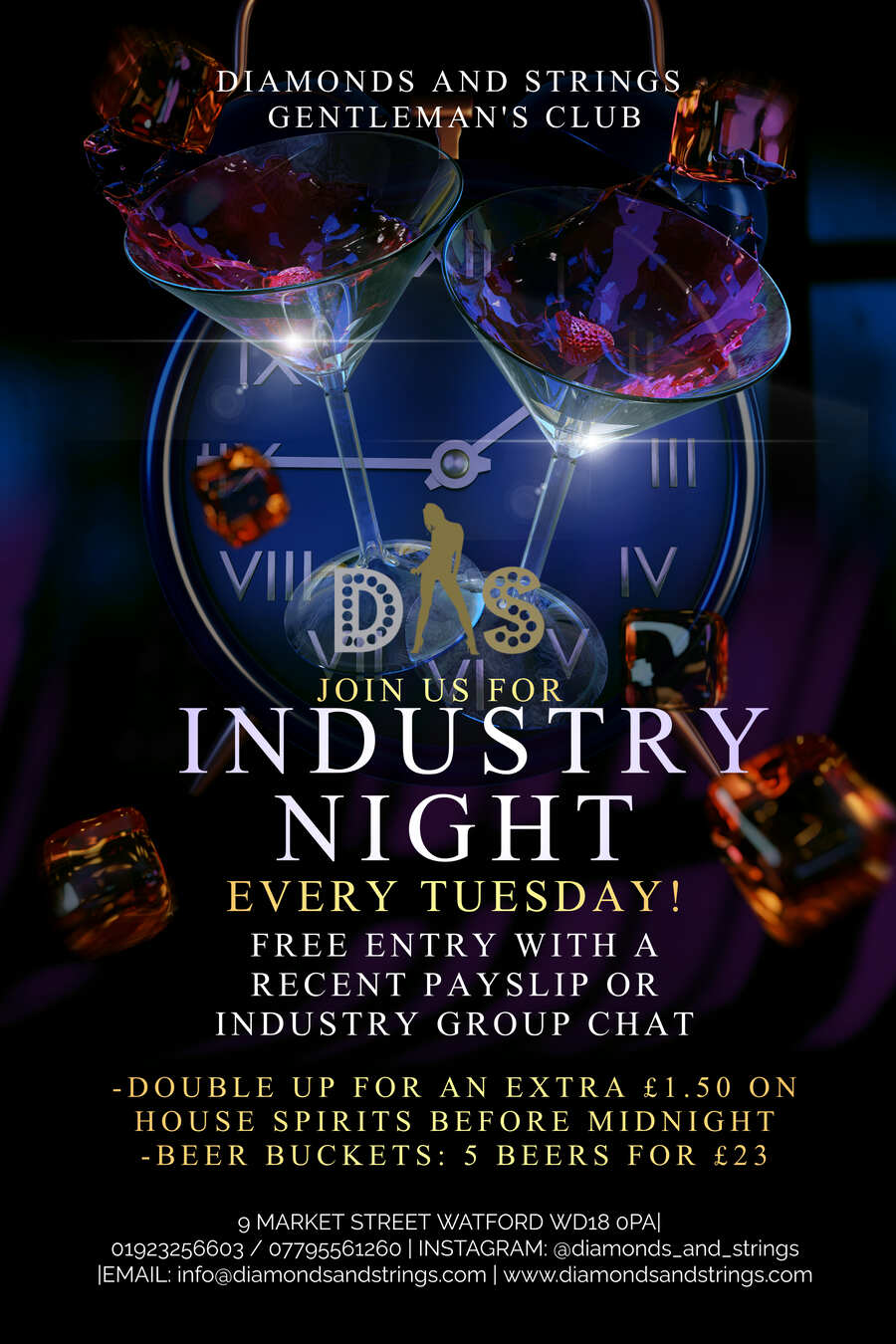 Ladies & Gentlemens strip club in Watford, Herts - Evening Entertainment